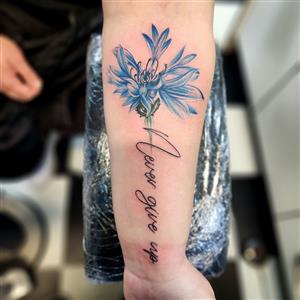 MND Tasmania - CORNFLOWER